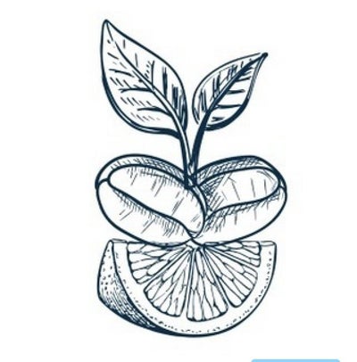 Best Coffee and Boba | Clash Coffee, Boba, and Lemonade